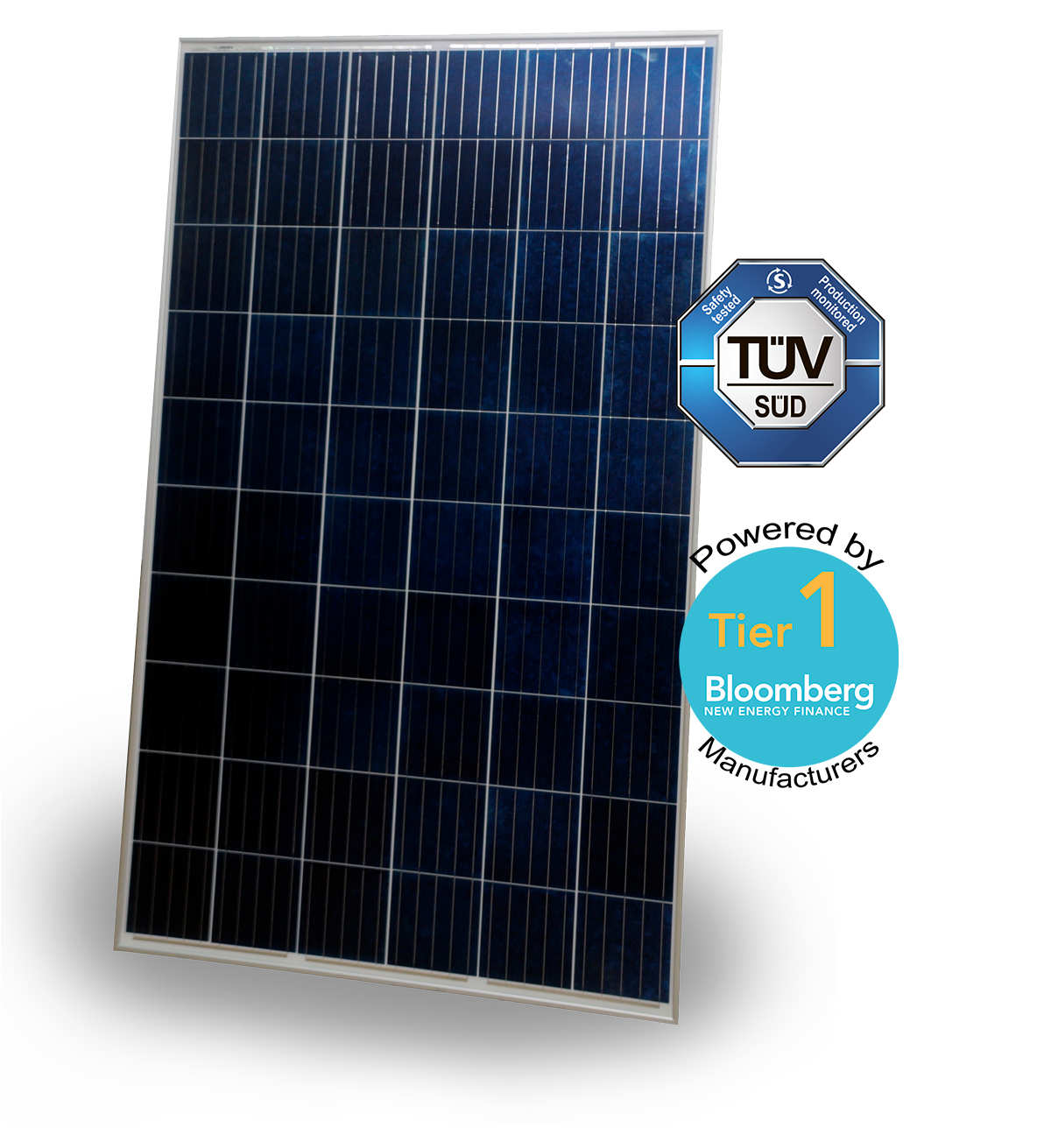 Polycrystalline PV modules – ABi-Solar
